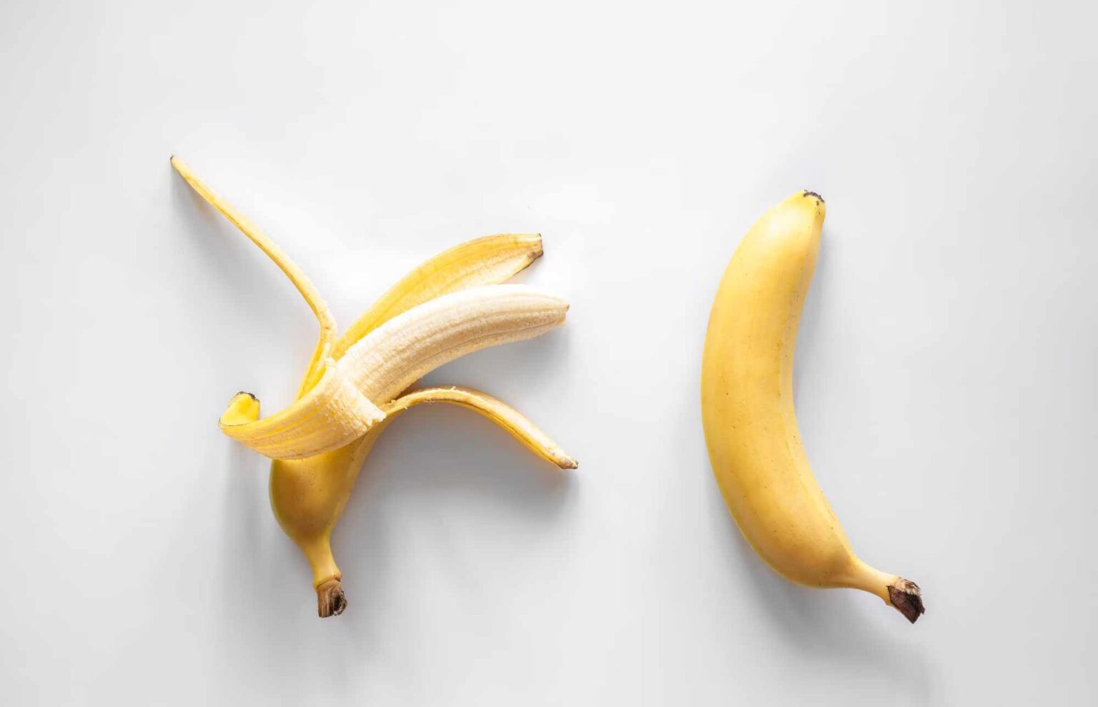 Mag een hond banaan eten? - HondjesGids